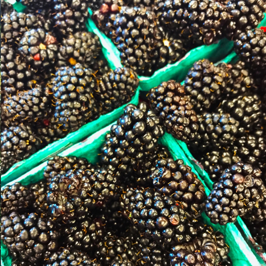 Good for You: We Be Jammin | Westside Seattle